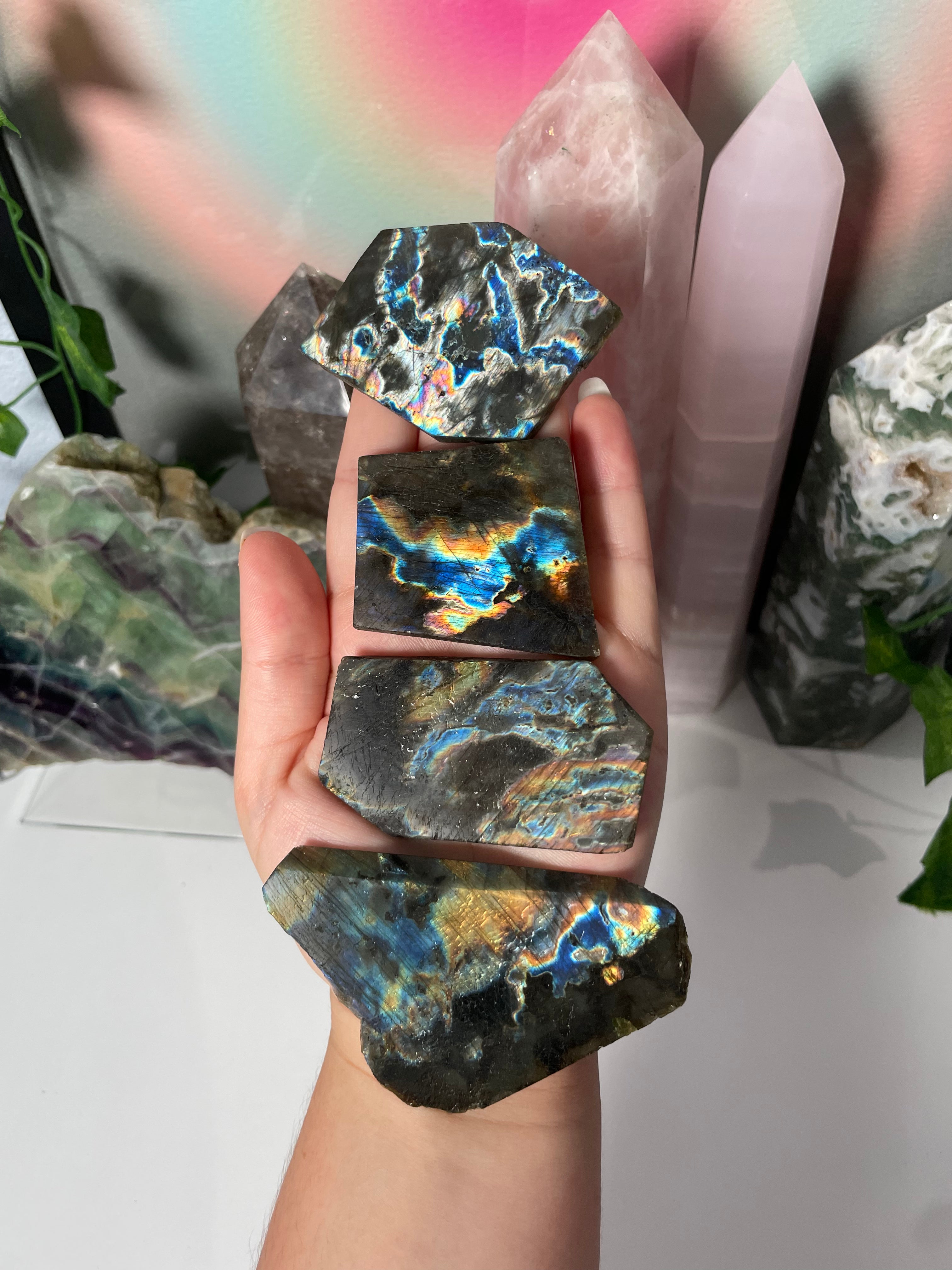 Spectrolite Slab – Eleven Entities