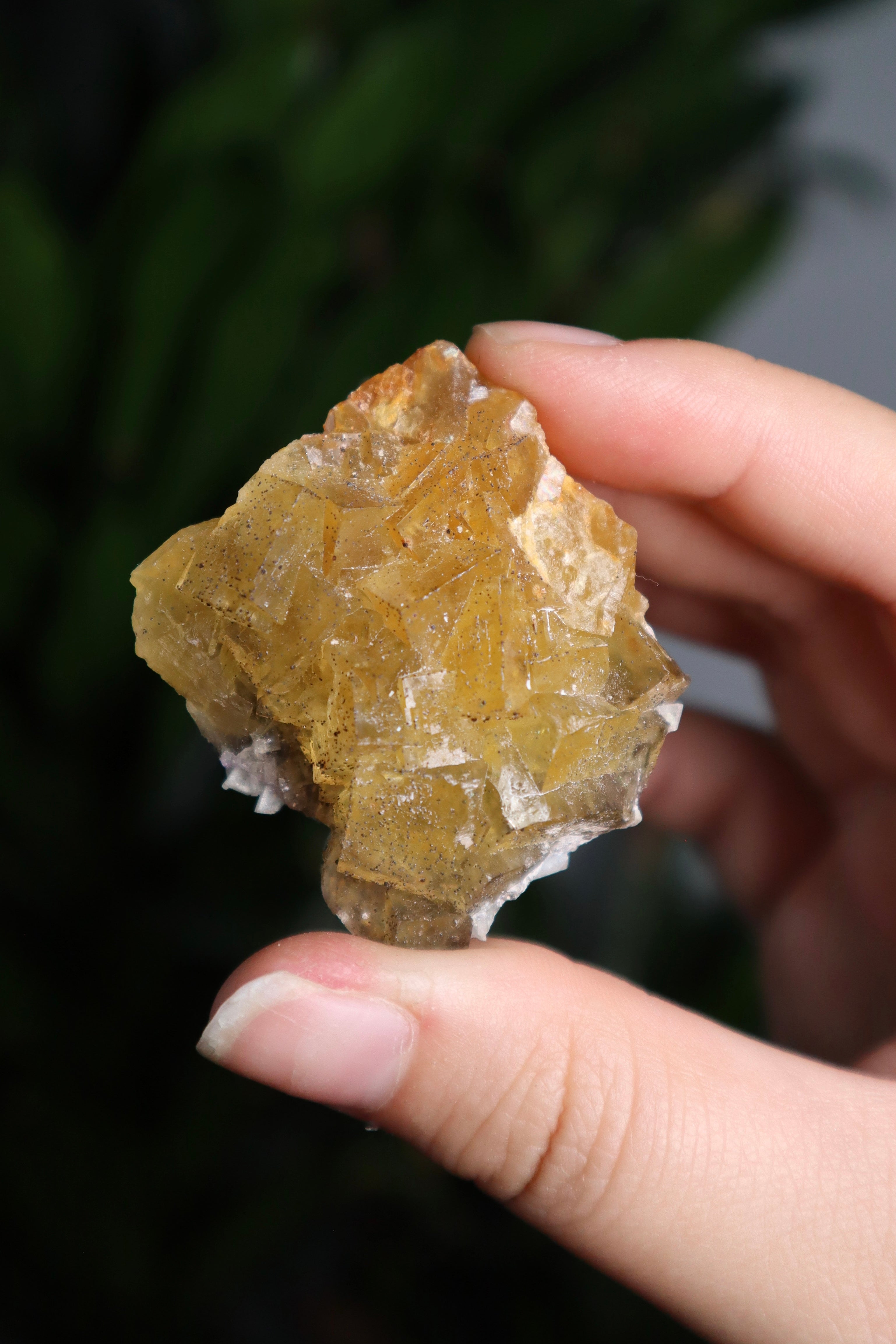 Yellow Fluorite Specimen #24 – Eleven Entities