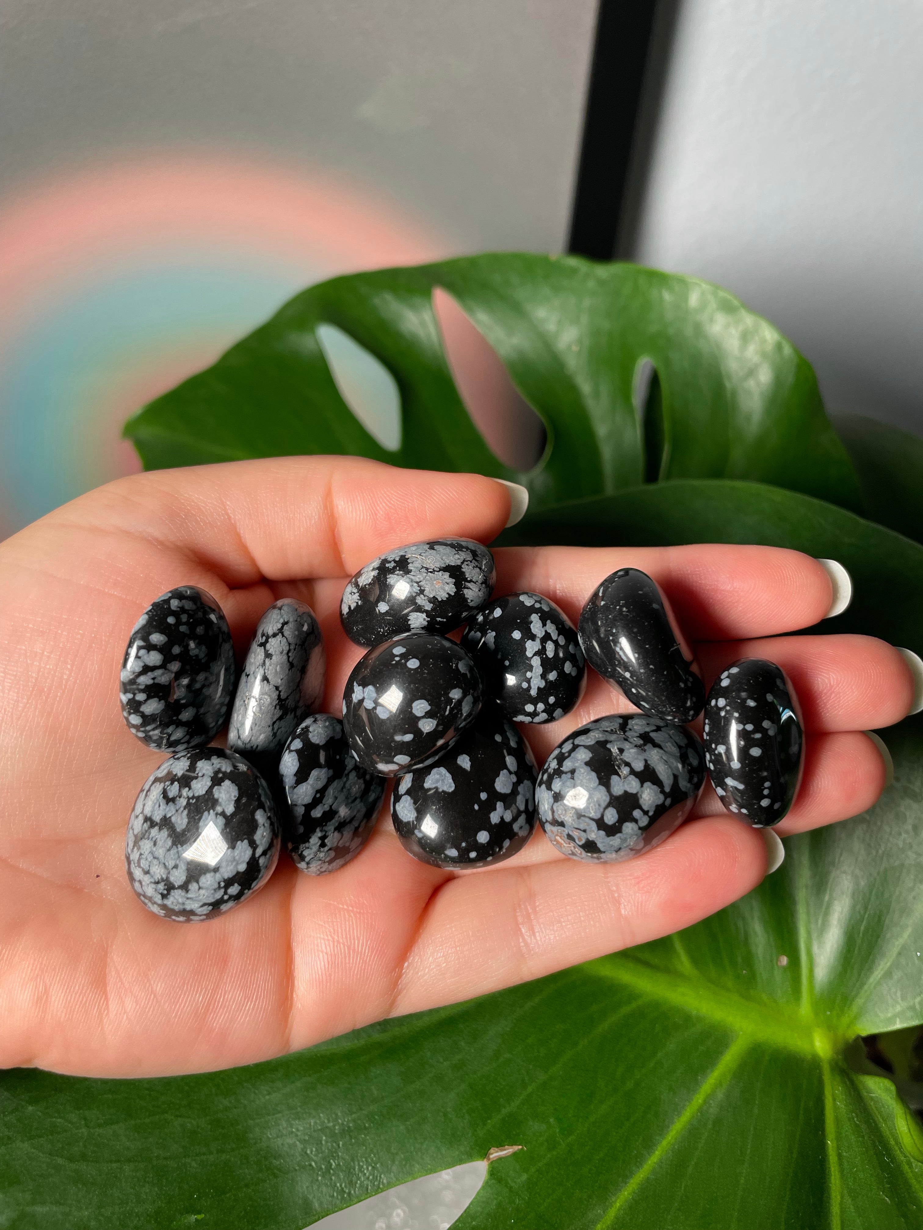 Snowflake Obsidian Tumble – Eleven Entities